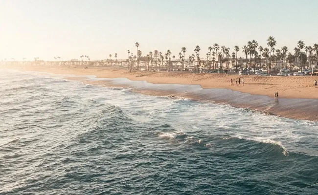 Andhra Techie In US Drowns While Rescuing His Children At Florida Beach ...