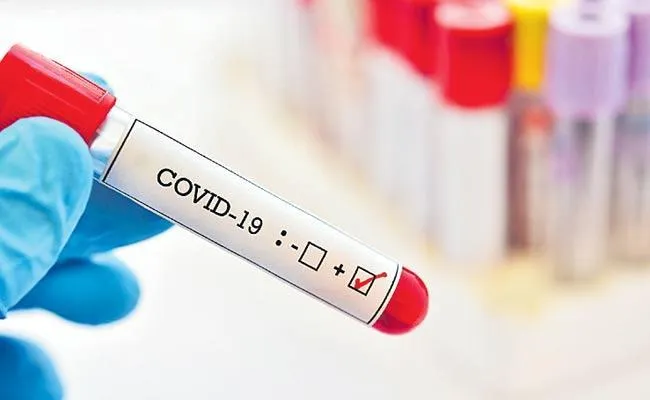 Andhra cases 572, to deploy 1 lakh rapid test kits - Great Andhra